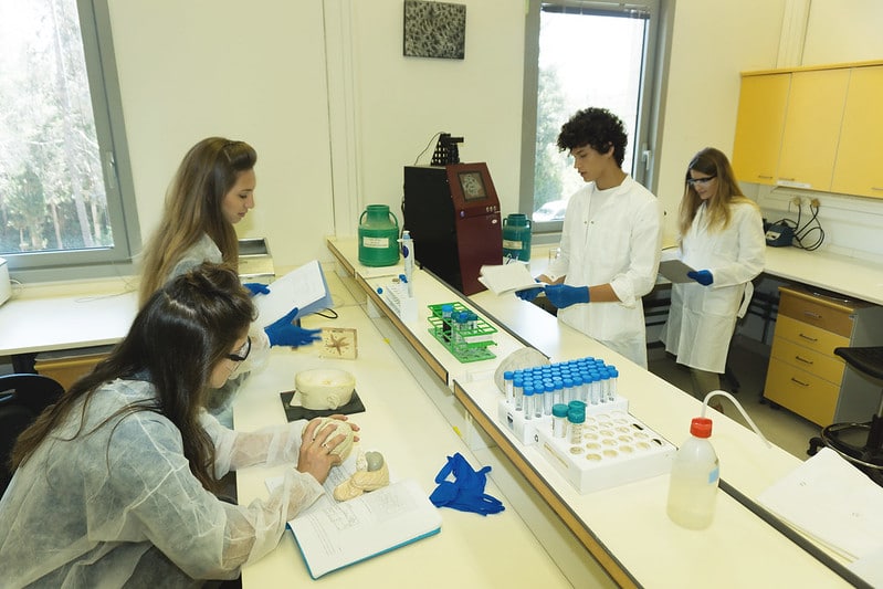 3D modeling Internship | Masa Israel