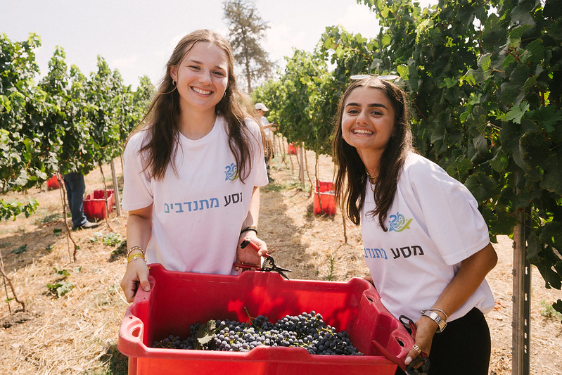 Volunteer in Israel - Israel Volunteer Programs & Trips | Masa Israel